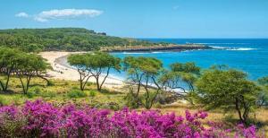 Review Update: Four Seasons Resort Lanai at Manele Bay - Go Visit Hawaii