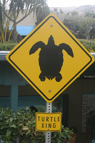 Interesting Signs in Hawaii - Go Visit Hawaii