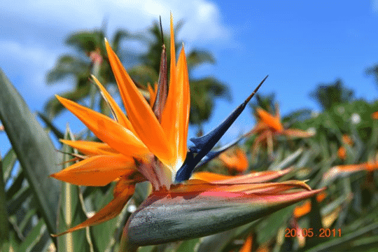 Aloha Friday Photo: Bea-u-tiful Edition - Go Visit Hawaii