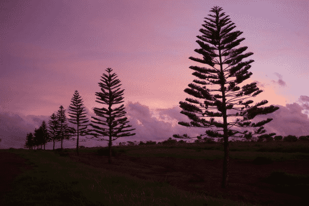 Aloha Friday Photo: Sunset from Palawai - Go Visit Hawaii