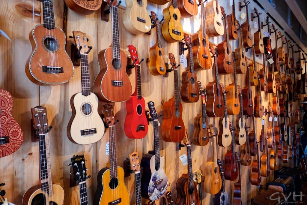 Ukulele Buying Guide: Where to Buy a Ukulele on Oahu - Go Visit Hawaii