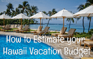 How much for a trip to Hawaii in 2024? (Hawaii vacation budget ...
