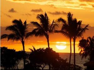 Be Prepared to Complete the Hawaii Agricultural Declaration Form - Go ...