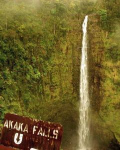How to vacation in Hawaii like the Duck Dynasty - Go Visit Hawaii