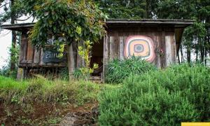 Organic farm-to-table tour at O'o Farm on Maui - Go Visit Hawaii