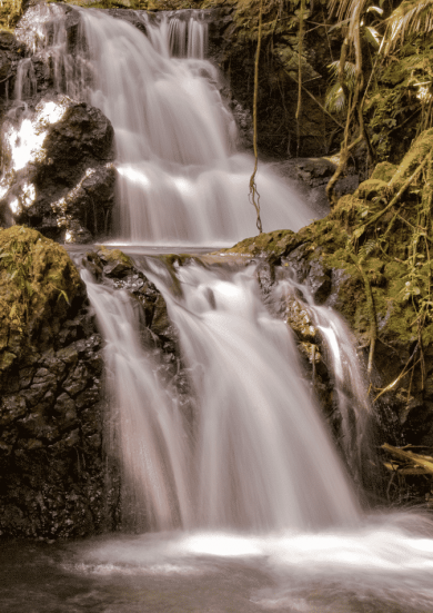 5 reasons why you should bring a camera tripod on your next Hawaii ...