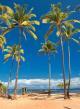 Exploring hidden Lanai by Hummer - Go Visit Hawaii