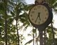 What time is it in Hawaii? - Go Visit Hawaii
