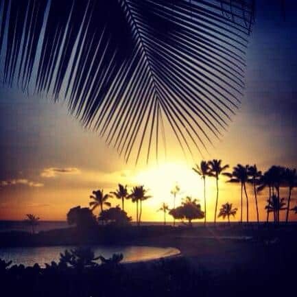 Aloha Friday Photo: Palm-sheltered sunset - Go Visit Hawaii