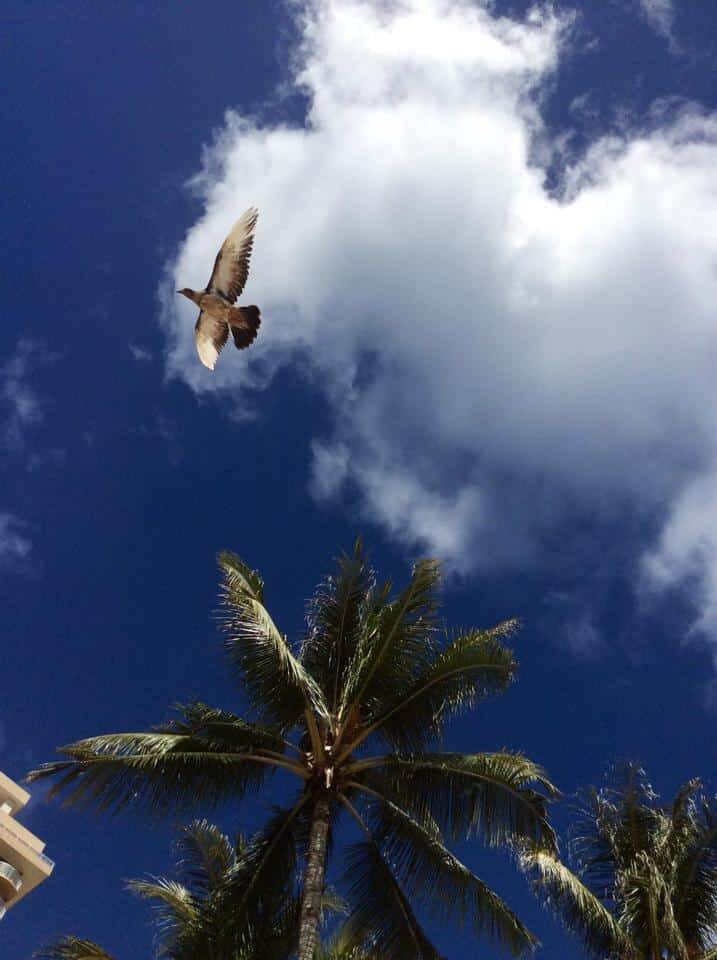 Aloha Friday Photo: Beautiful blue sky - Go Visit Hawaii