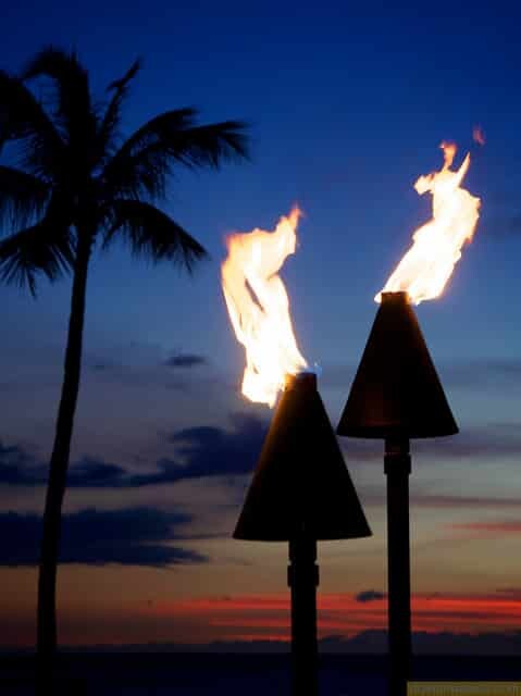 Please help! - Go Visit Hawaii