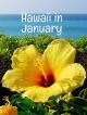 What to know about a January vacation in Hawaii - Go Visit Hawaii