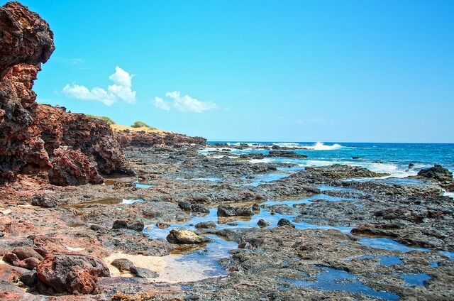 Exploring tidepools in Hawaii - Go Visit Hawaii