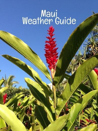 Ultimate Maui weather guide, including rainfall, temperatures & climates