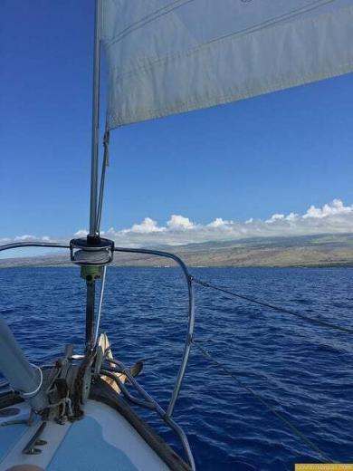 Kohala Coast snorkel sail with Kohala Sail & Sea - Go Visit Hawaii