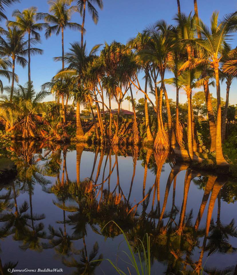 Aloha Friday Photo: Reflection at Waikoloa - Go Visit Hawaii