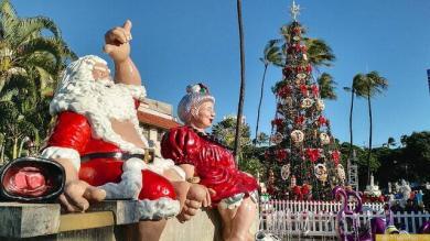Hawaiian-style Christmas trees and decorations photos - Go Visit Hawaii