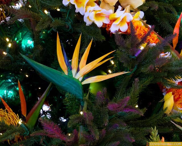 Hawaiian-style Christmas trees and decorations photos - Go Visit Hawaii