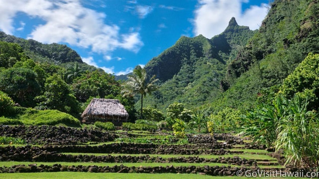 Limahuli Garden And Preserve | Fasci Garden