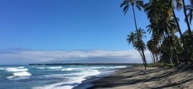 Hawaii's Humuhumunukunukuapua'a - what is it & how do you say it? - Go ...