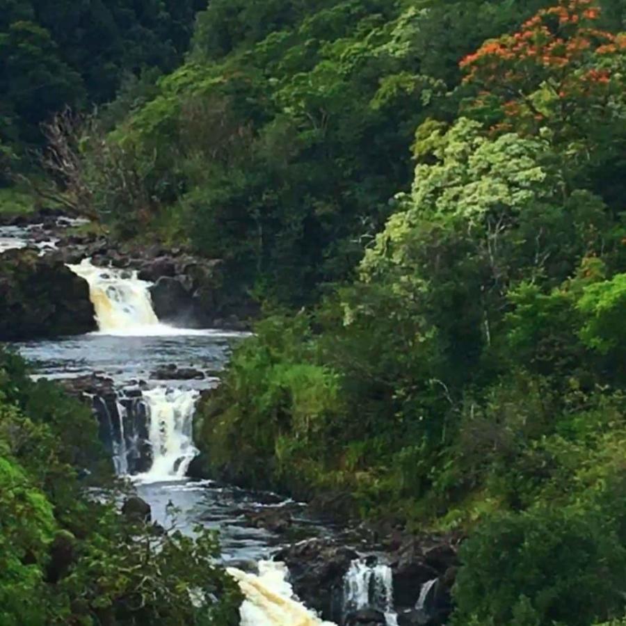 Aloha Friday Photos: Umauma Falls - Go Visit Hawaii