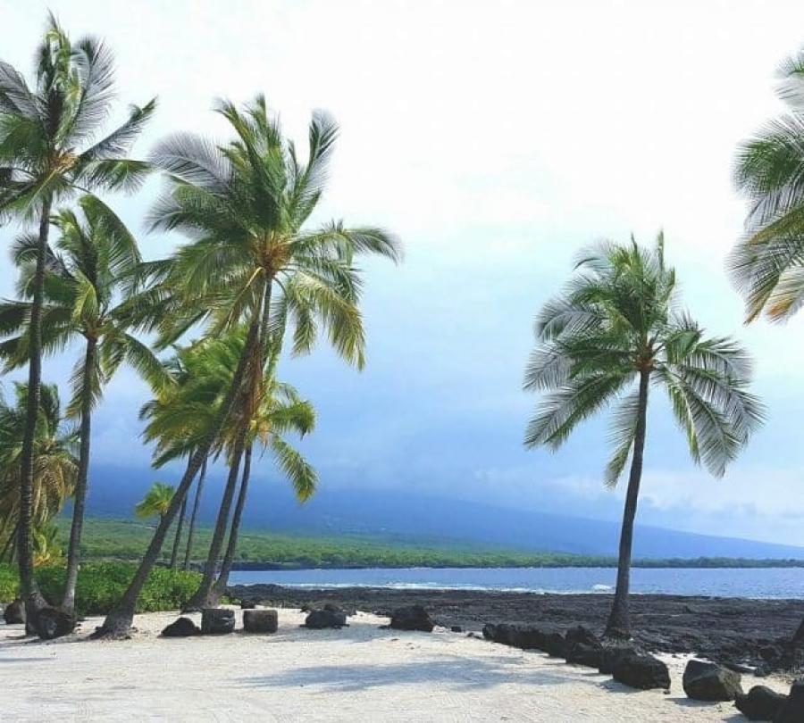 Aloha Friday Photo: Such an engaging site! - Go Visit Hawaii