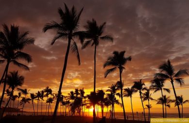 The best camera gear to take on your Hawaii vacation - our picks for ...