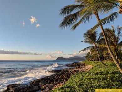 The best camera gear to take on your Hawaii vacation - our picks for ...