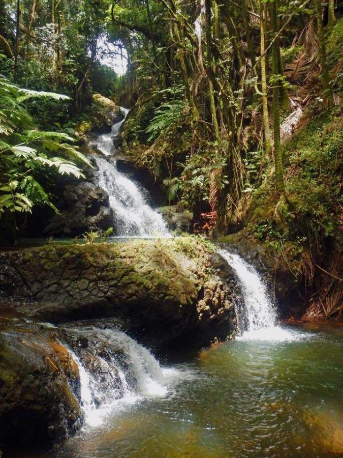Aloha Friday Photos: Waterfall at Hawaii Tropical Botanical Garden - Go ...