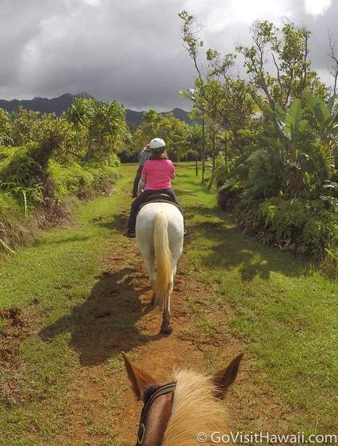 Kauai horseback riding with Silver Falls Ranch - Go Visit Hawaii