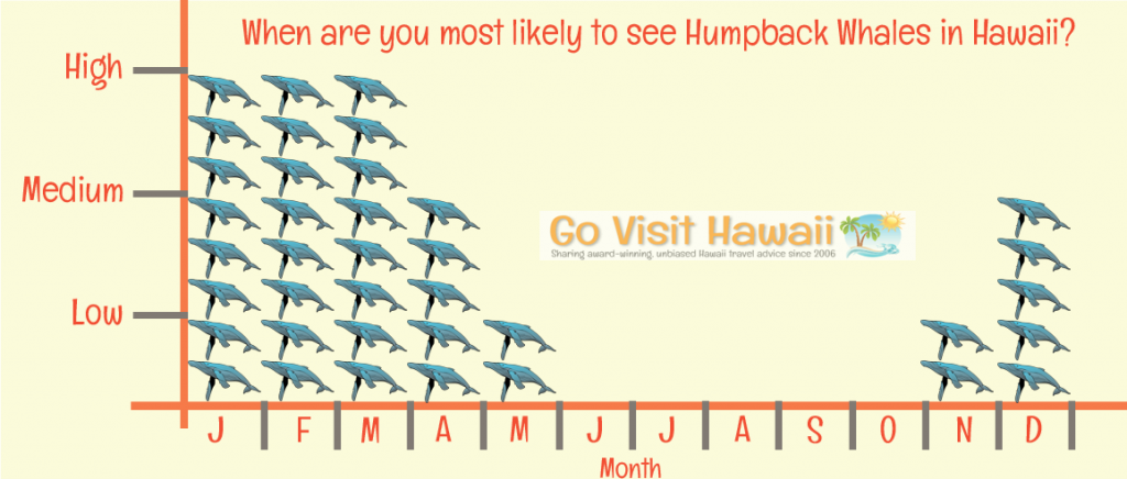 When is the best time to see humpback whales in Hawaii and which ...