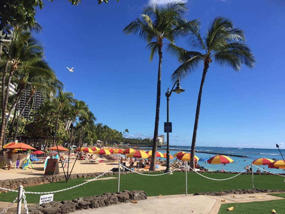 Aloha Friday Photo: Colorful Waikiki Beach Scene - Go Visit Hawaii