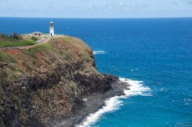 Take me there Tuesday: Kilauea Point, Kauai - Go Visit Hawaii