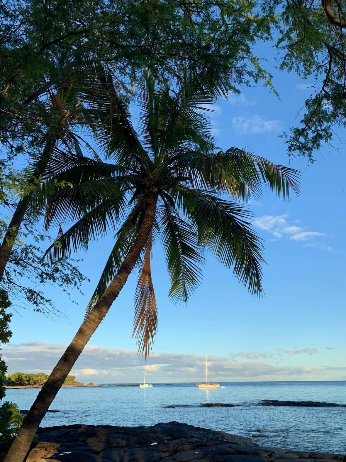 Aloha Black Friday 2019: Great Hawaii travel deals & photo! - Go Visit ...