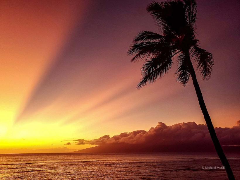 Aloha Friday Photo: Rays of Hope - Go Visit Hawaii