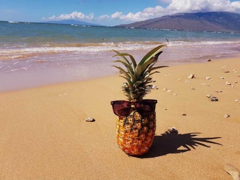 Aloha Friday Photo: Pun in the sun :-) - Go Visit Hawaii