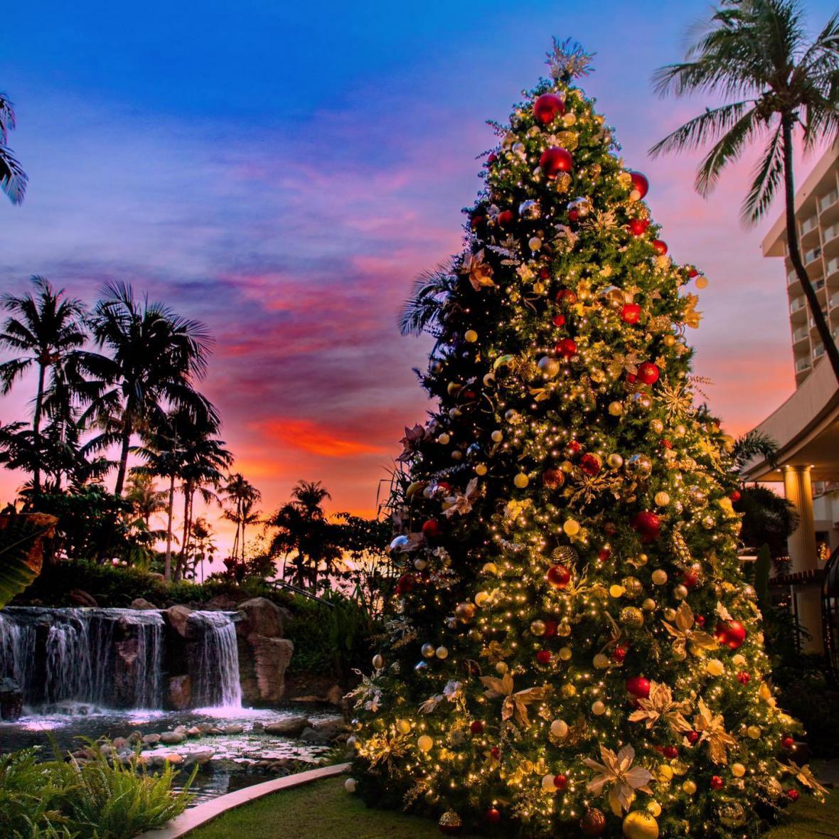 Aloha Friday Photo: Stunning Christmas Tree Scene from The Westin Maui ...