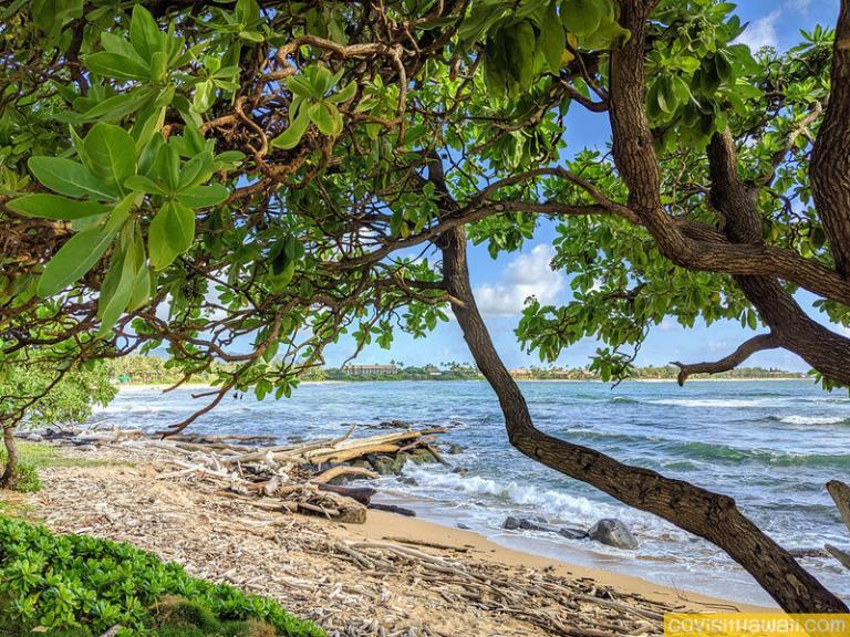 Take me there Tuesday: Lydgate Beach Park, Kauai - Go Visit Hawaii