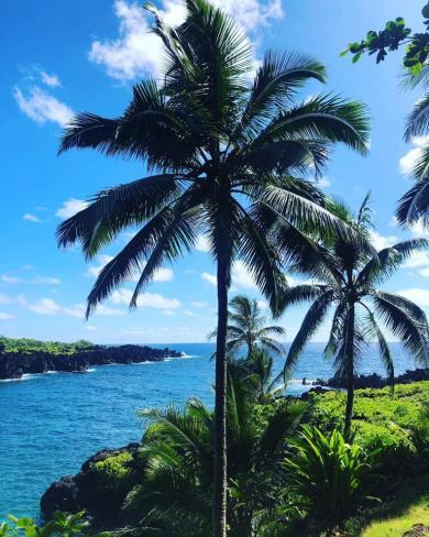 Aloha Friday Photo: Wai'anapanapa Park, Maui - Go Visit Hawaii