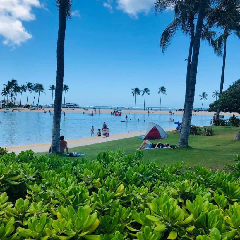 Aloha Friday Photo: View from the Hilton Hawaiian Village Lawn - Go ...
