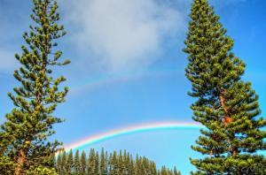 It's not just your imagination, Hawaii is a special place for rainbows ...