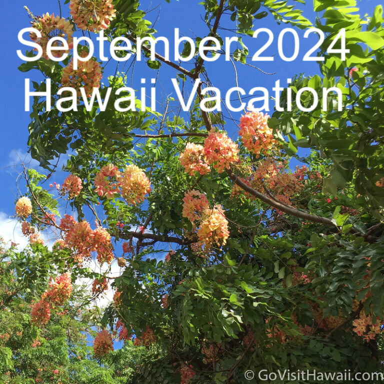September 2024 Vacation in Hawaii: Weather, Events and Blooming Flowers ...