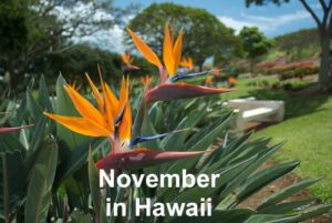 What to know for a November 2025 Hawaii vacation - Go Visit Hawaii