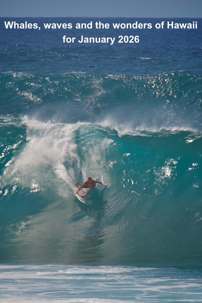 Planning a January 2026 trip to Hawaii: Events, Weather, Nature ...